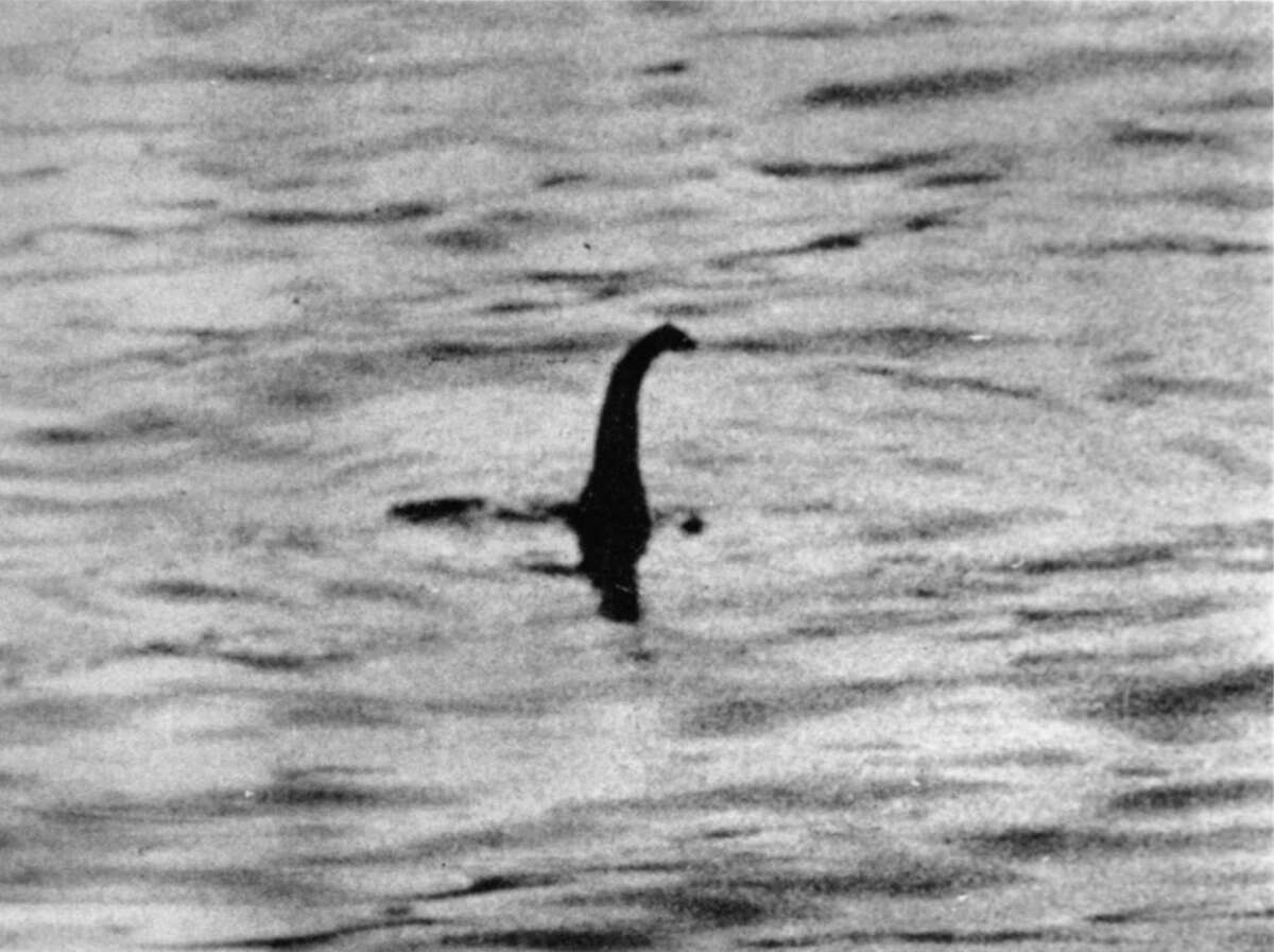 Photos: Champ, the sea monster