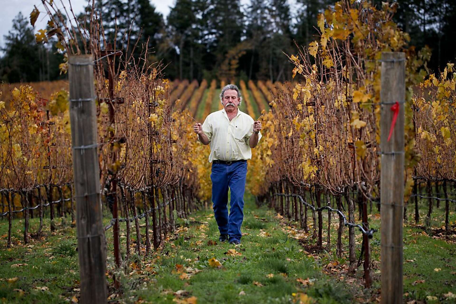 A Mondavi branches out to water witching