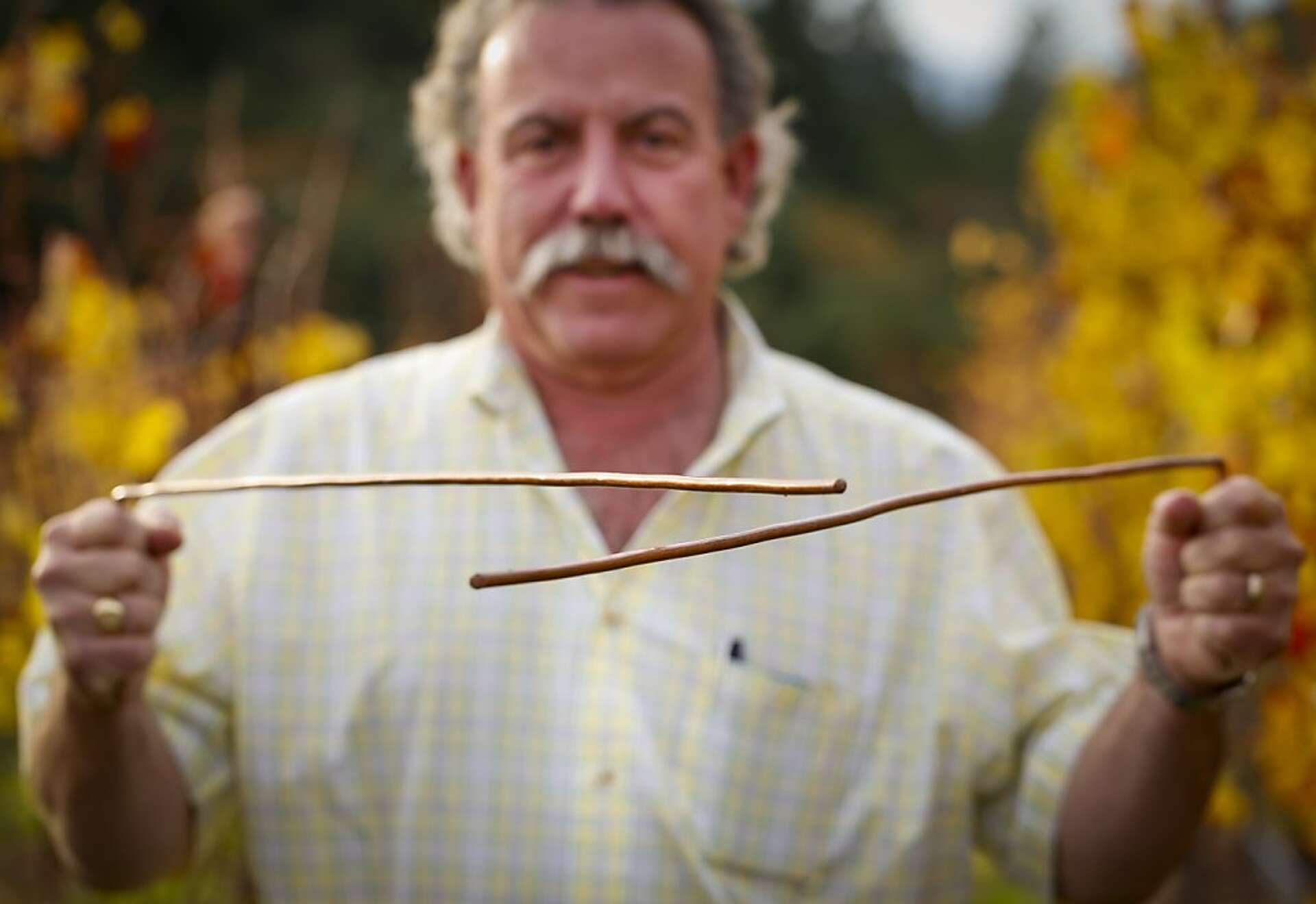 A Mondavi branches out to water witching