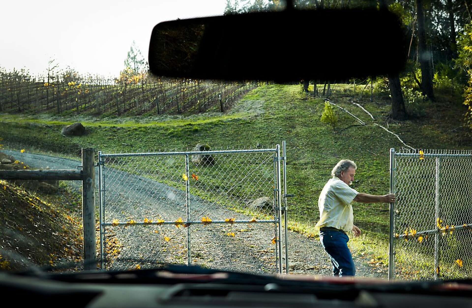 A Mondavi branches out to water witching