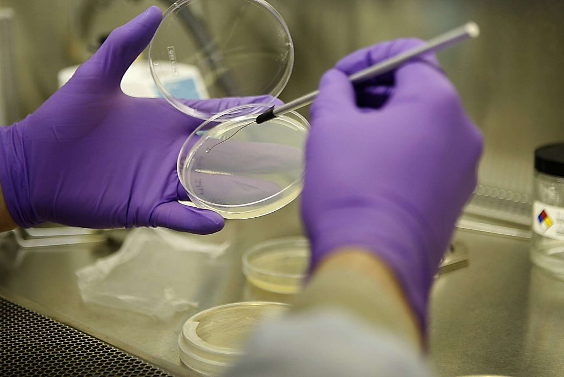 Studying space travel with fruit flies