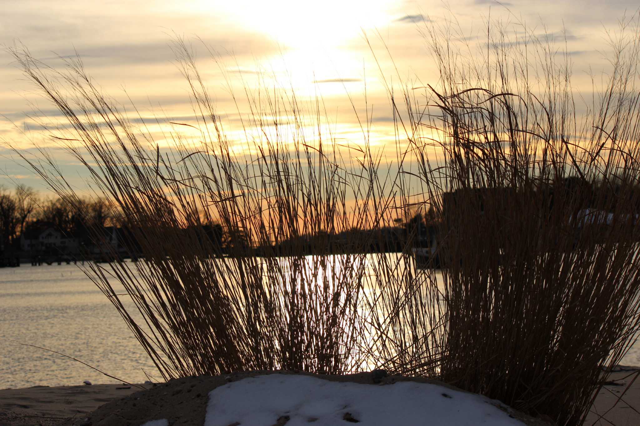 Winter scenes at Pear Tree Point Beach