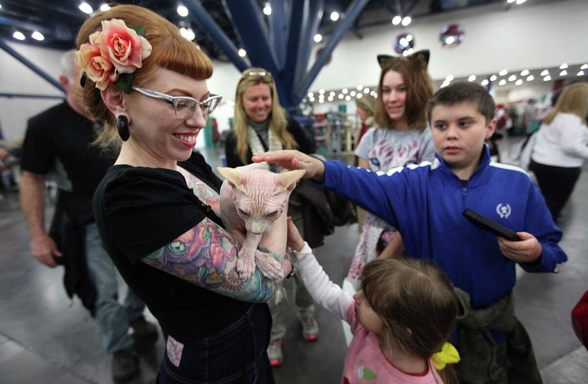 Cats take center stage at Houston show