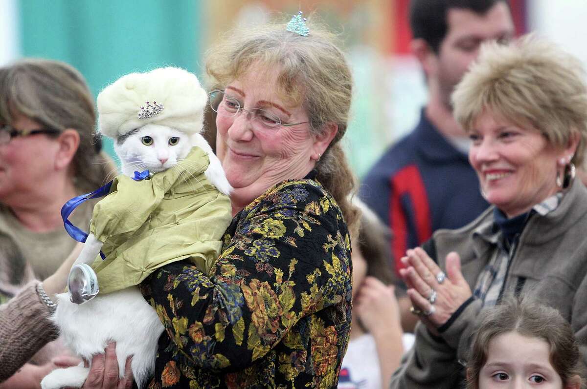 Cats take center stage at Houston show