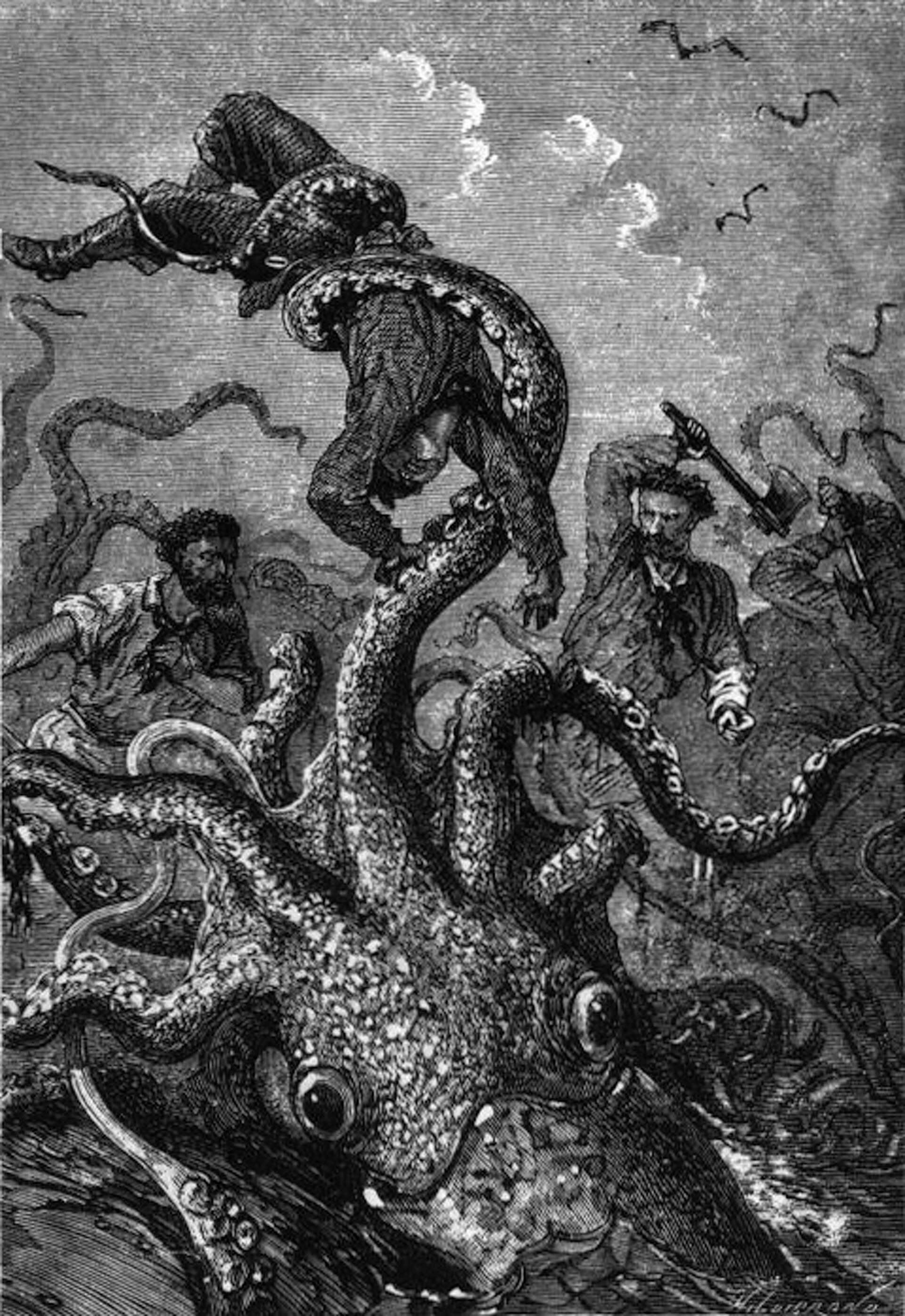 Live giant squid! Discovery Channel says it's got first vids of the kraken