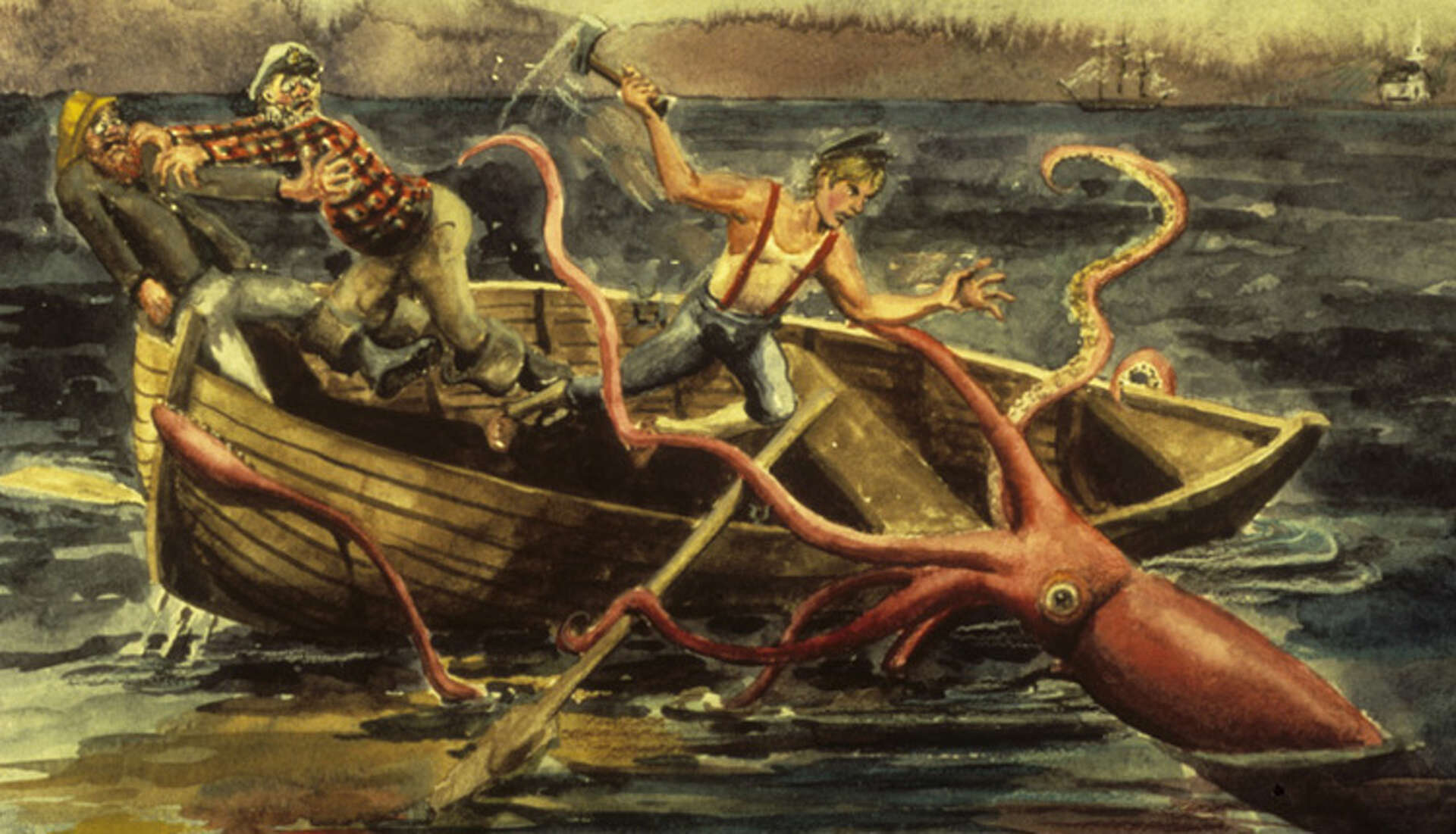 Live giant squid! Discovery Channel says it's got first vids of the kraken