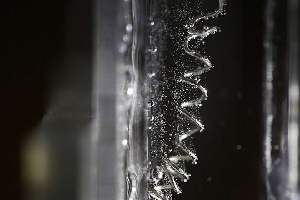 Turning over new leaf in climate change