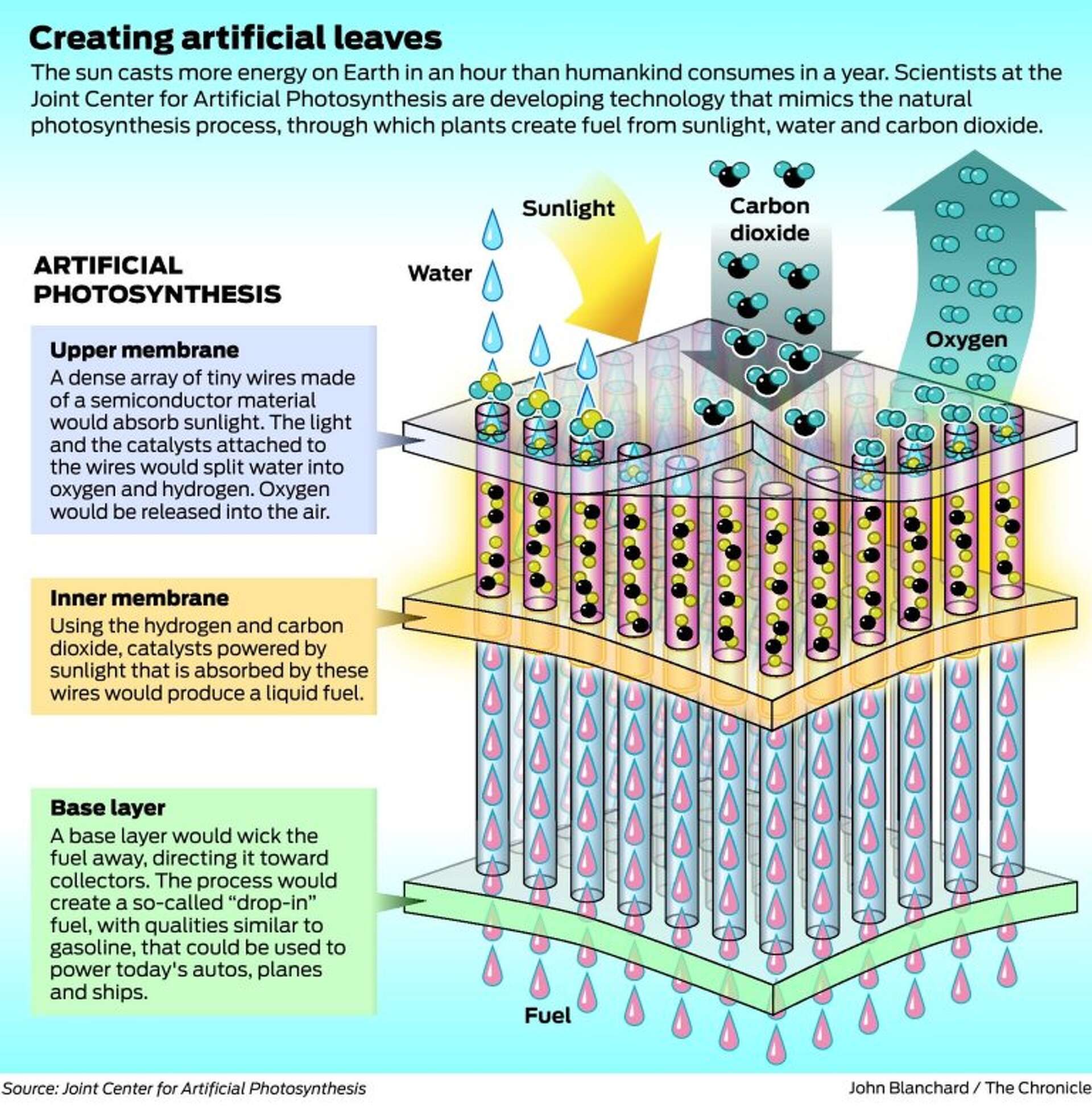 Turning over new leaf in climate change
