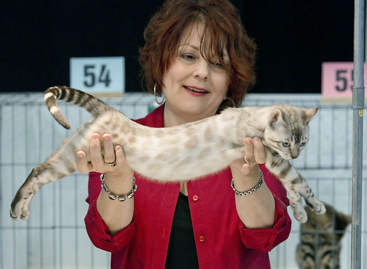 Day in Pictures, Jan. 15, 2013