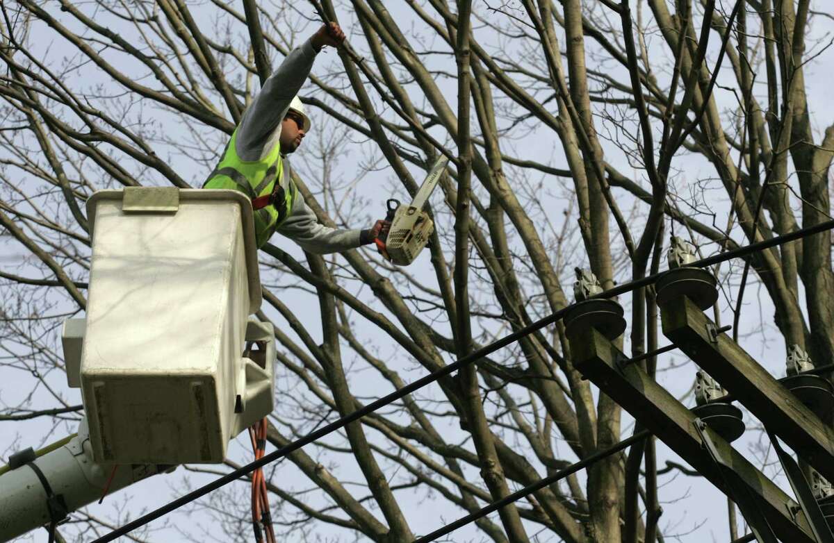 Utilities' tree-trimming efforts fall short, critics say