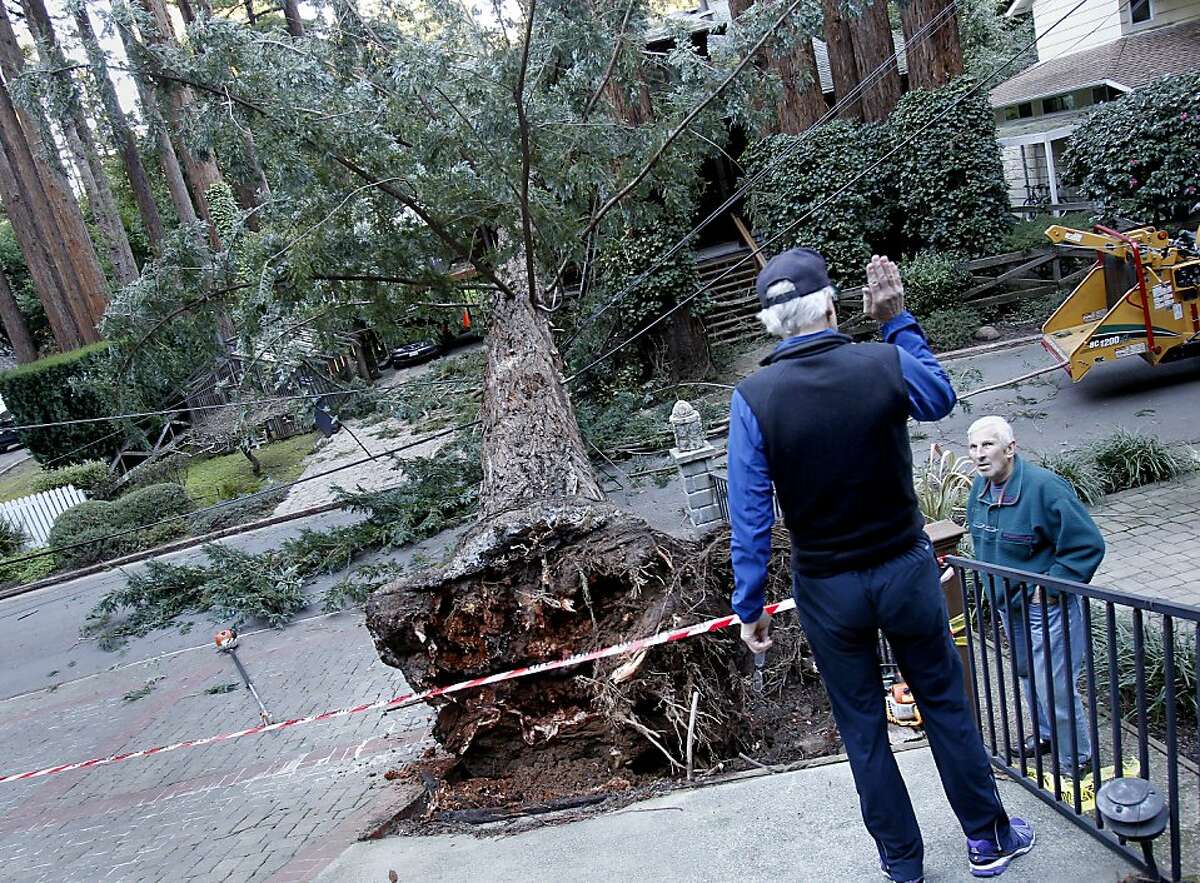 Falling redwood crushes Larkspur home