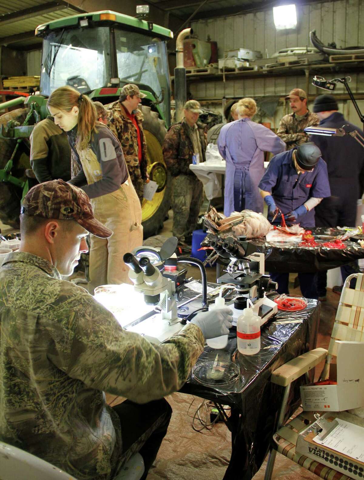 The sandhill crane project