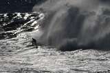 Peter Mel wins Mavericks surfing contest