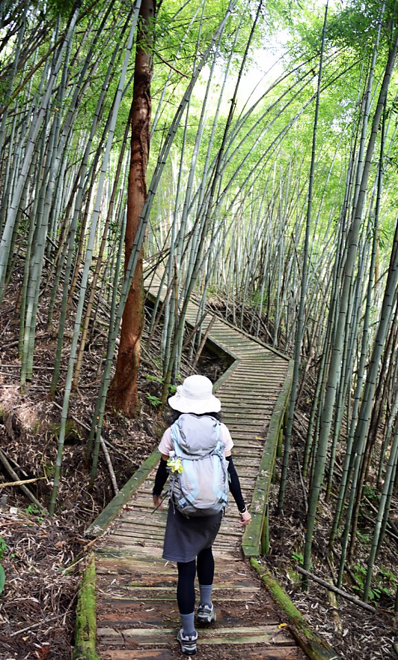 Walking Japan's medieval pathways