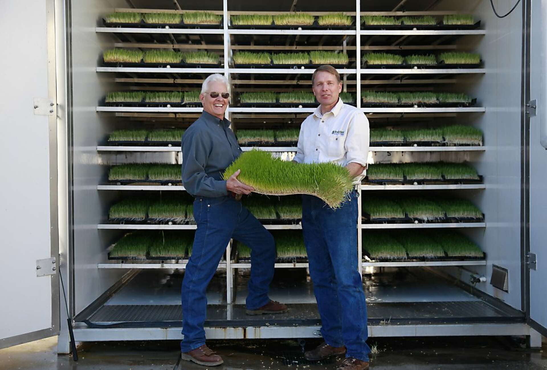 Hydroponic sprouts hyped as animal feed