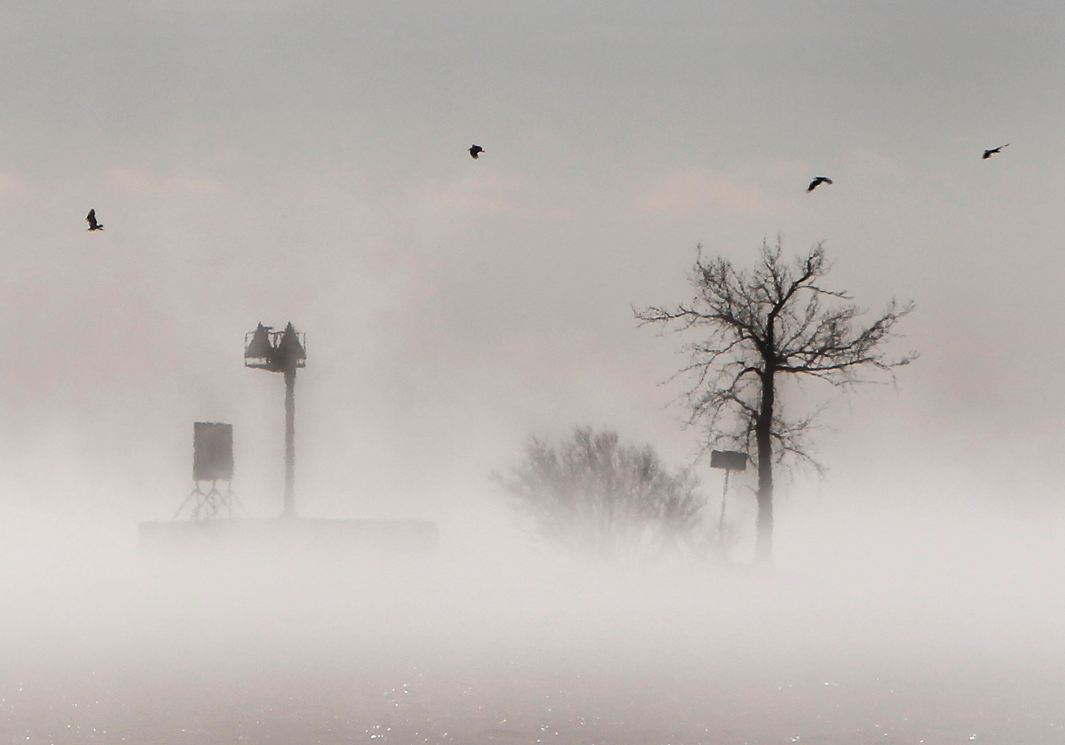 It's super cold from the Midwest to New York