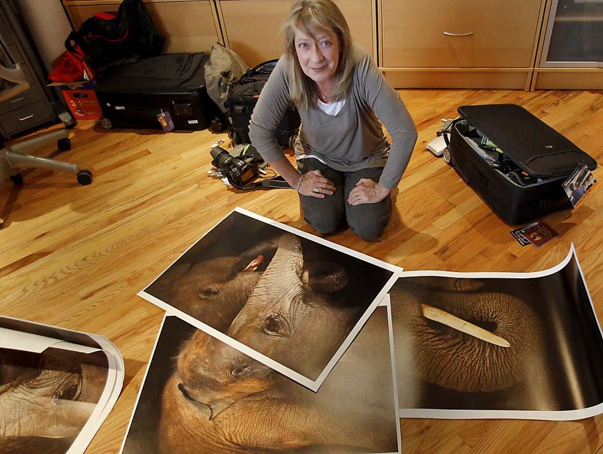 Elephants give former tech exec new focus