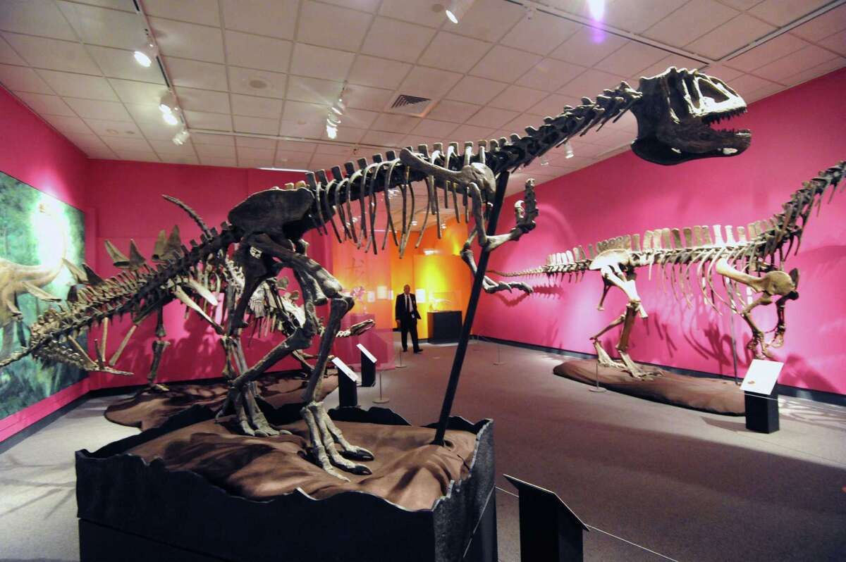 Prehistoric presence settles in at the Bruce Museum