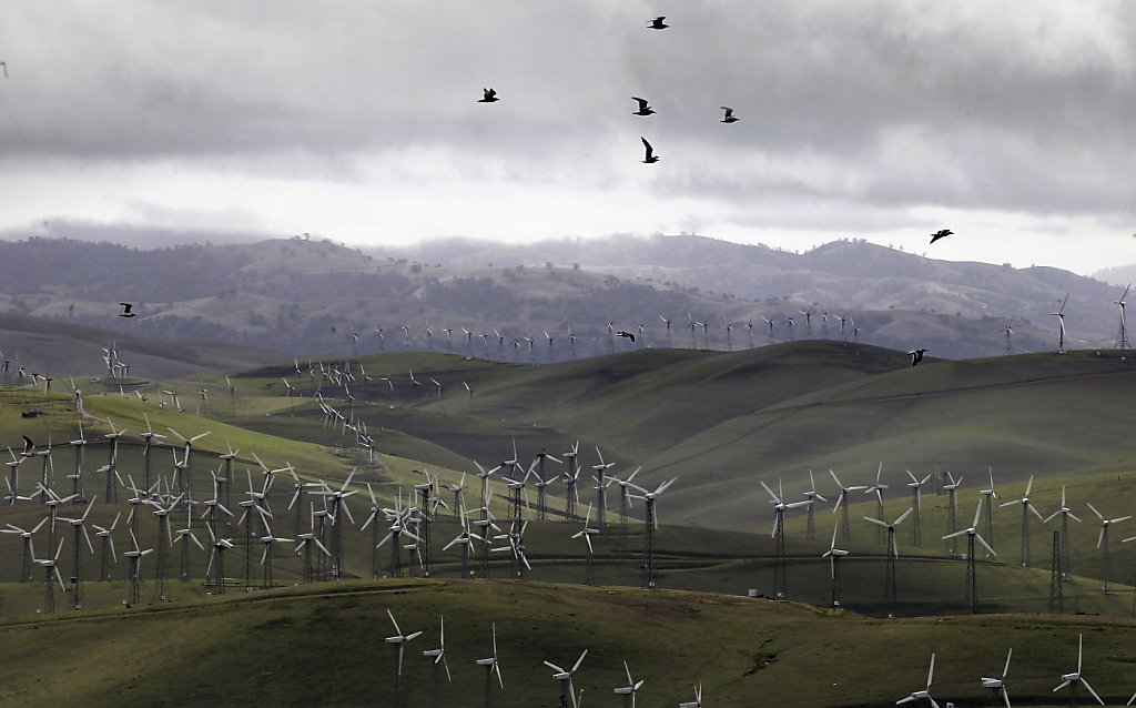 Altamont Pass turbines kill fewer birds