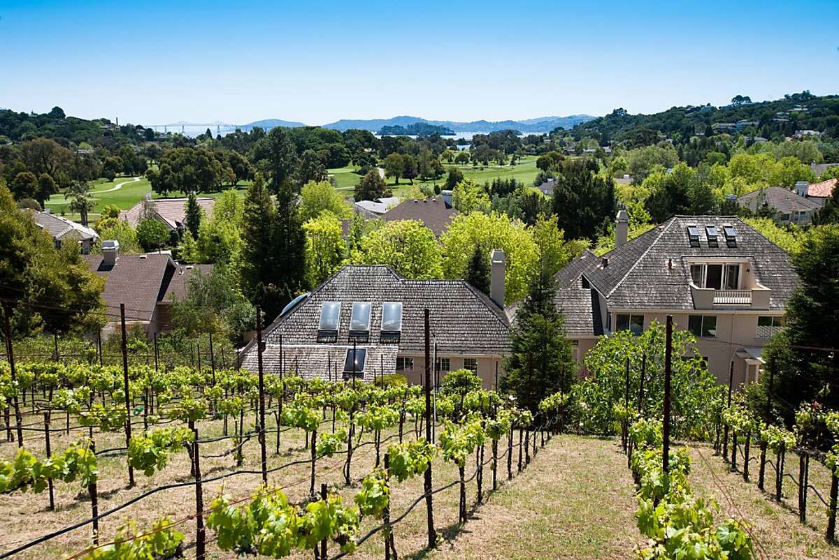 San Rafael home offers grape-to-glass winemaking, indoor pool