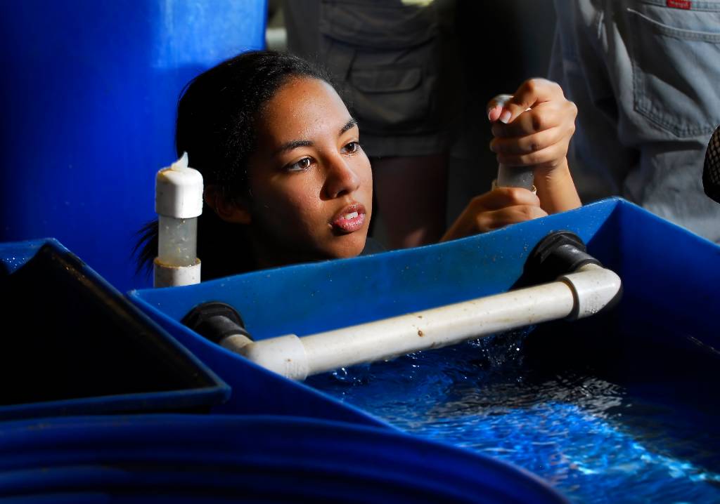 Wright Tech students seek footholds elsewhere, with mixed success