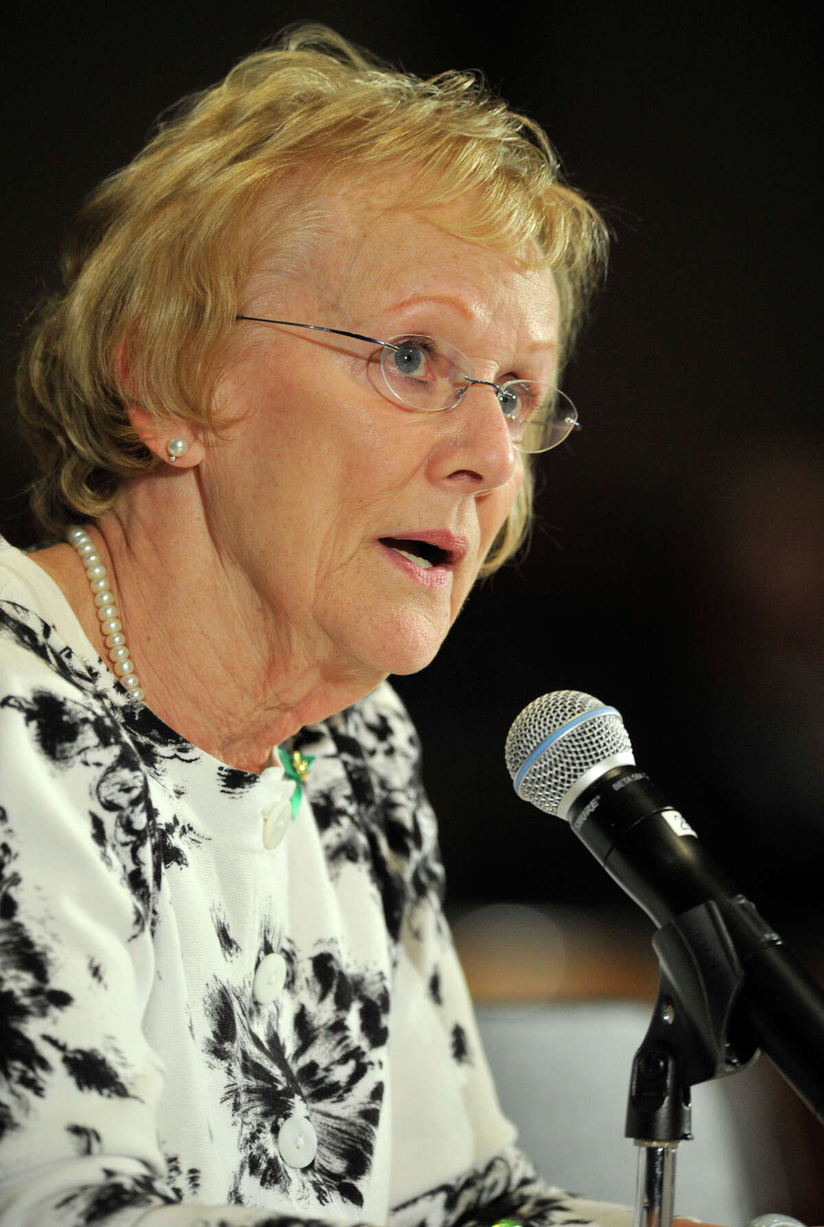 Violence in America rebuked at Newtown High hearing