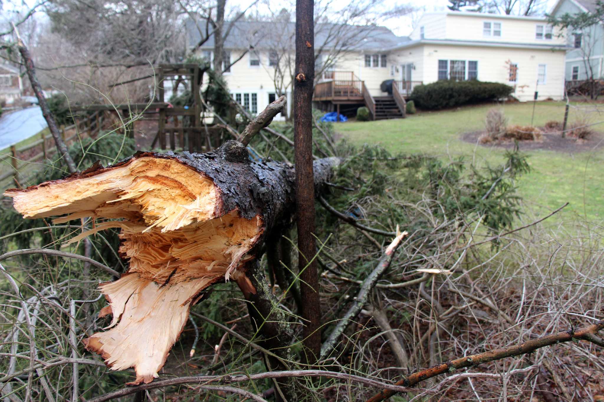 Wind-driven rain storm proves more disruptive than destructive