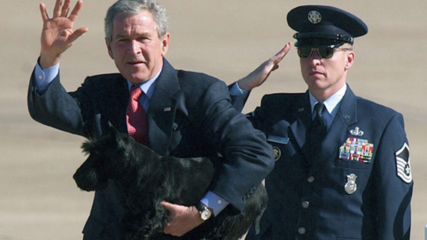 Greg Abbott adopts adorable golden retriever puppy named 'Pancake'