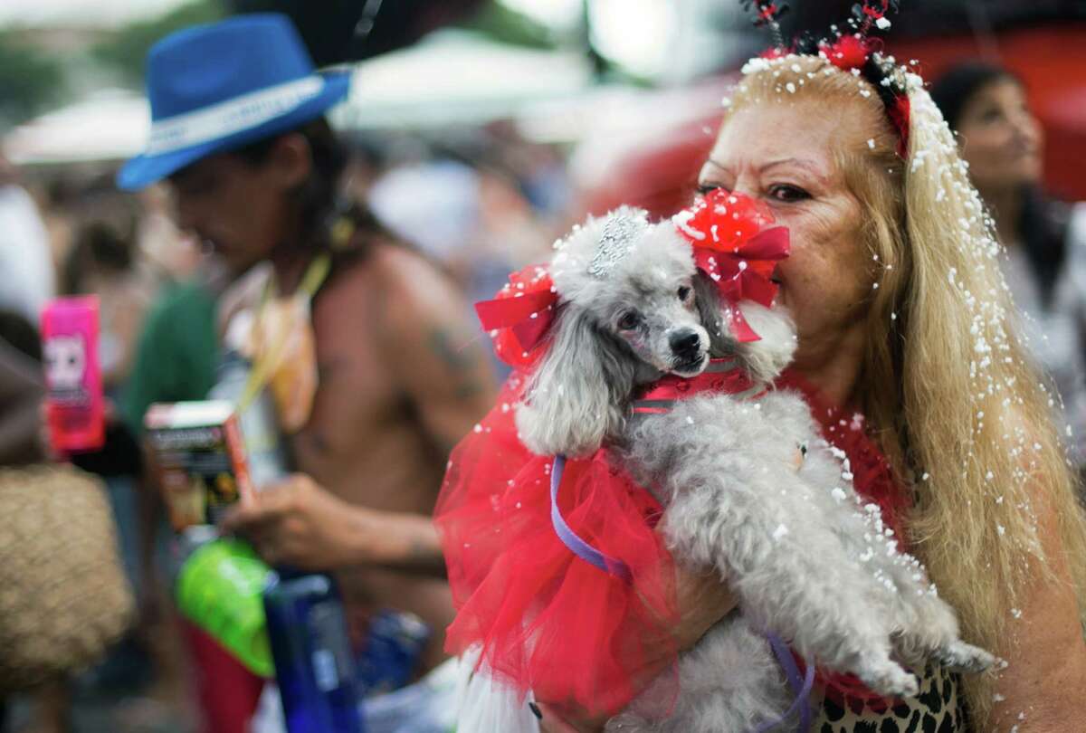 Costumes, skin, dogs ... even kids warm up for Carnival