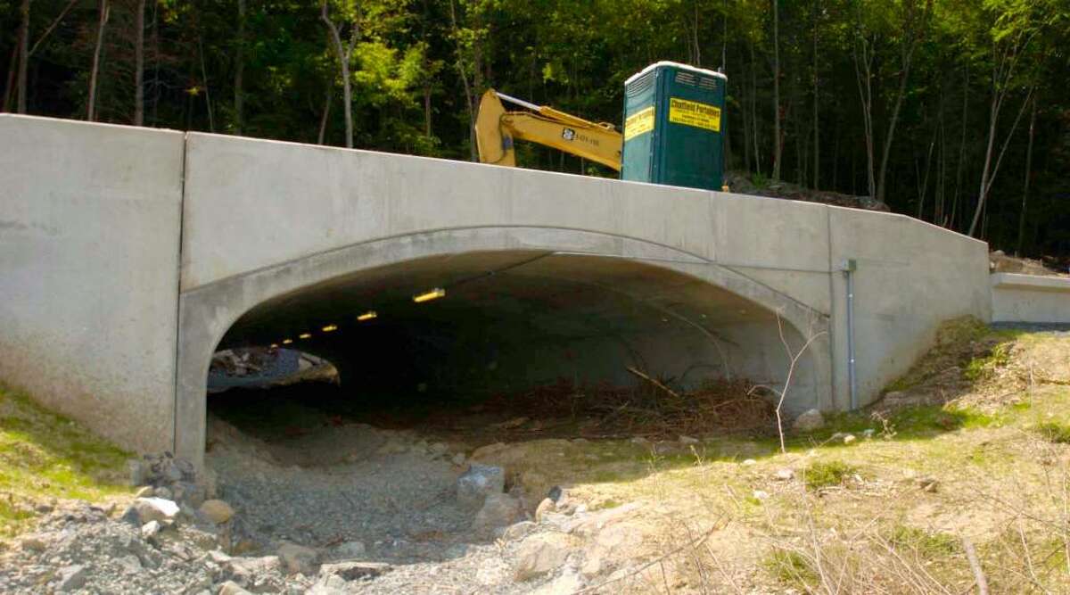 Robert Miller: How box turtles use the $1 million corridor built for them