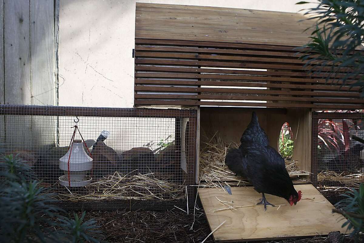 The Moop - designer chicken coop for city
