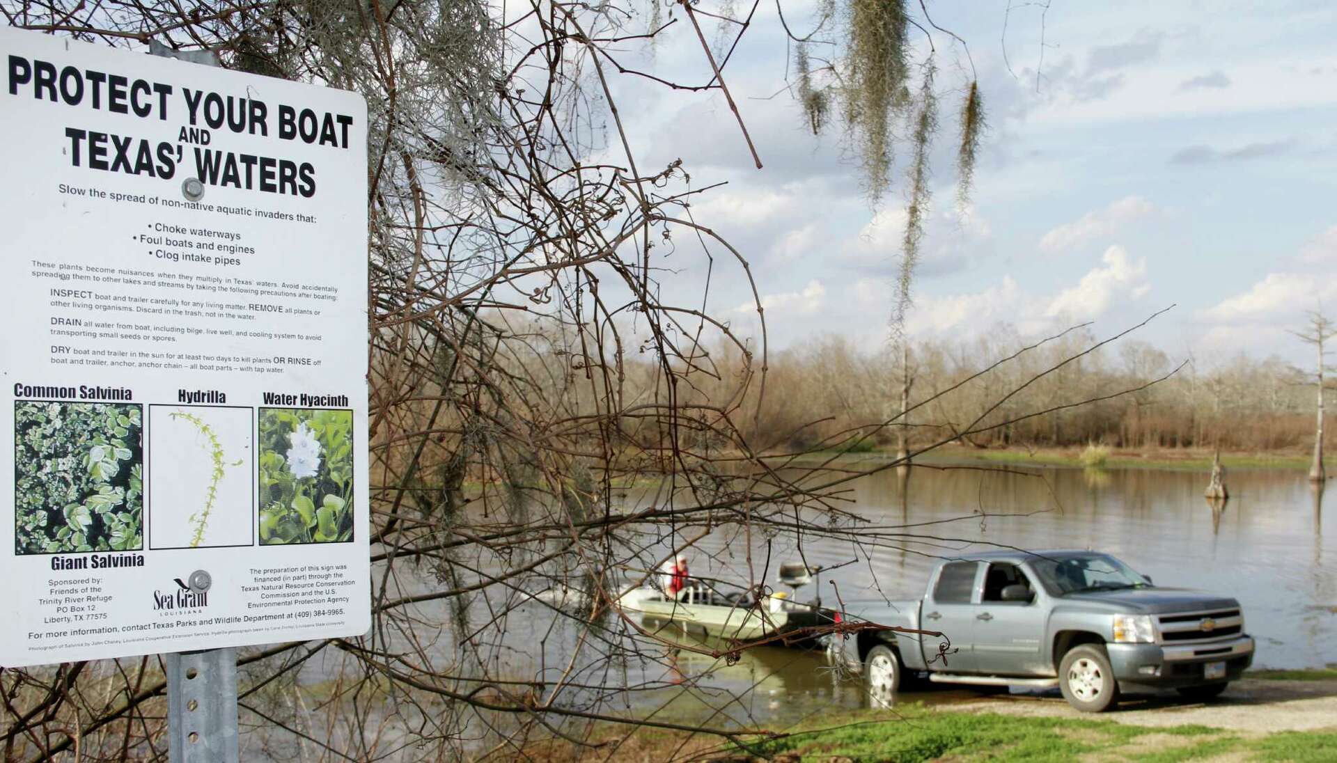 Invasive plant species threaten Texas waters
