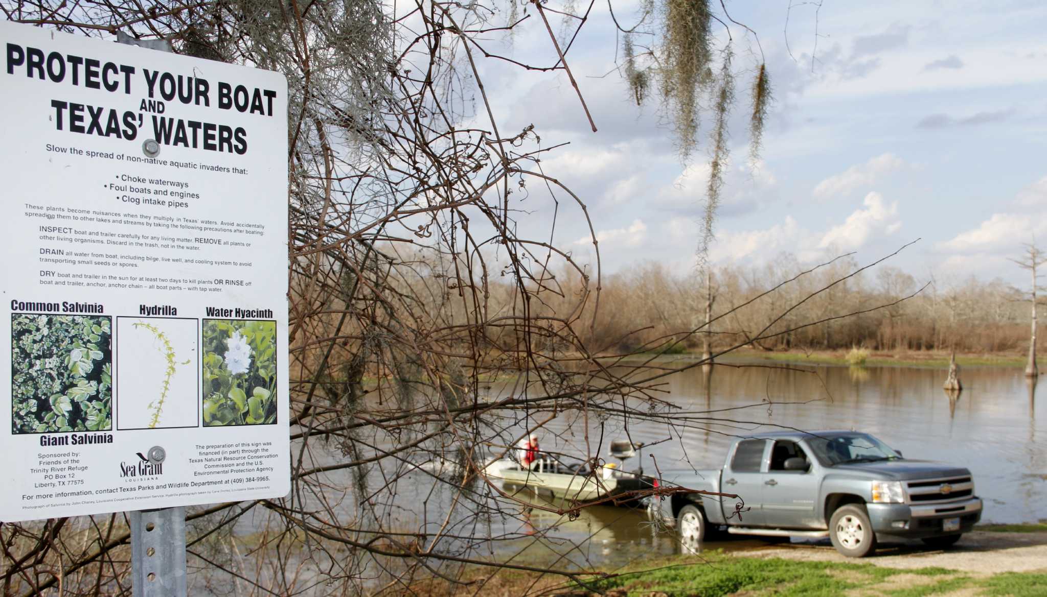 Invasive plant species threaten Texas waters