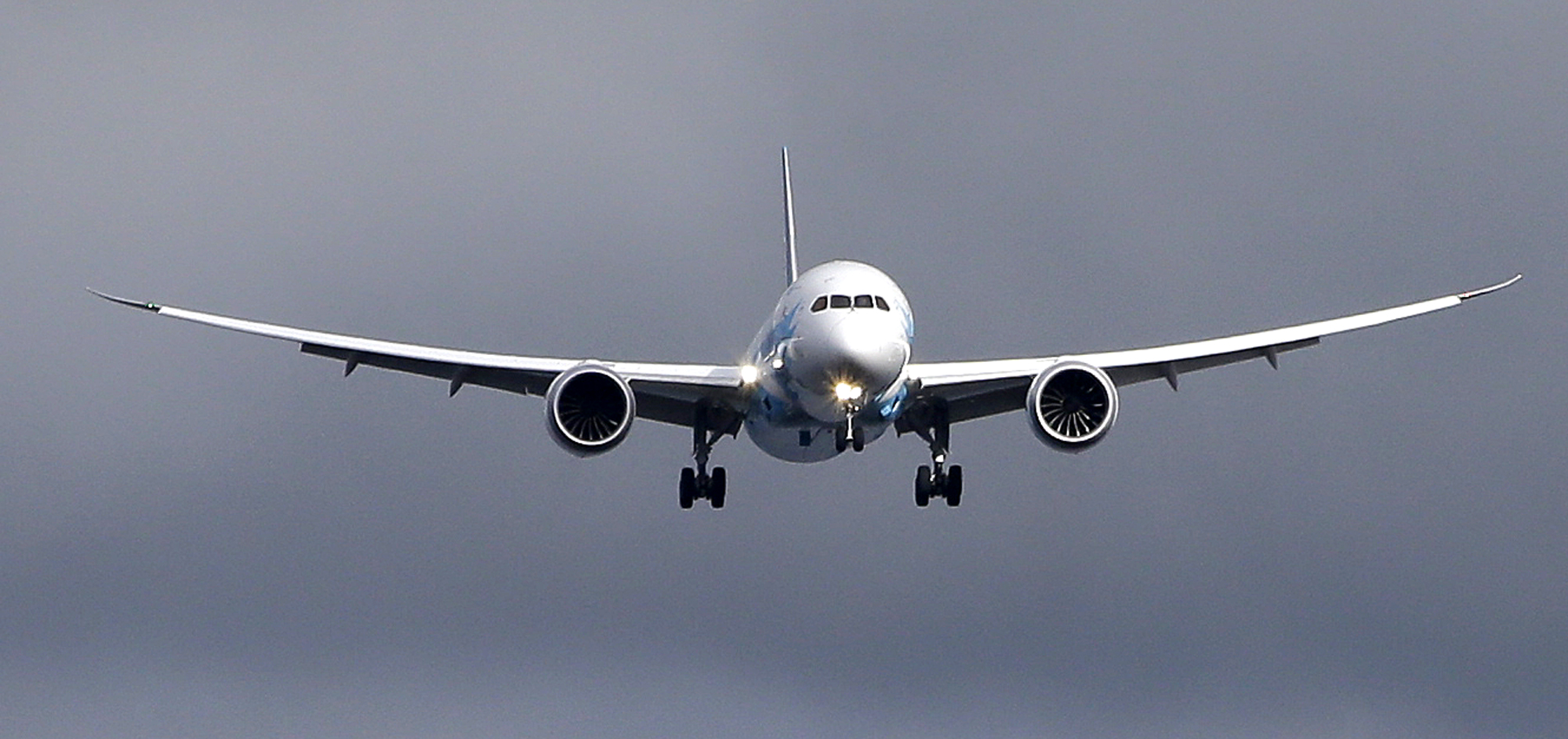 Boeing CEO: 'We feel good about the battery technology' on 787