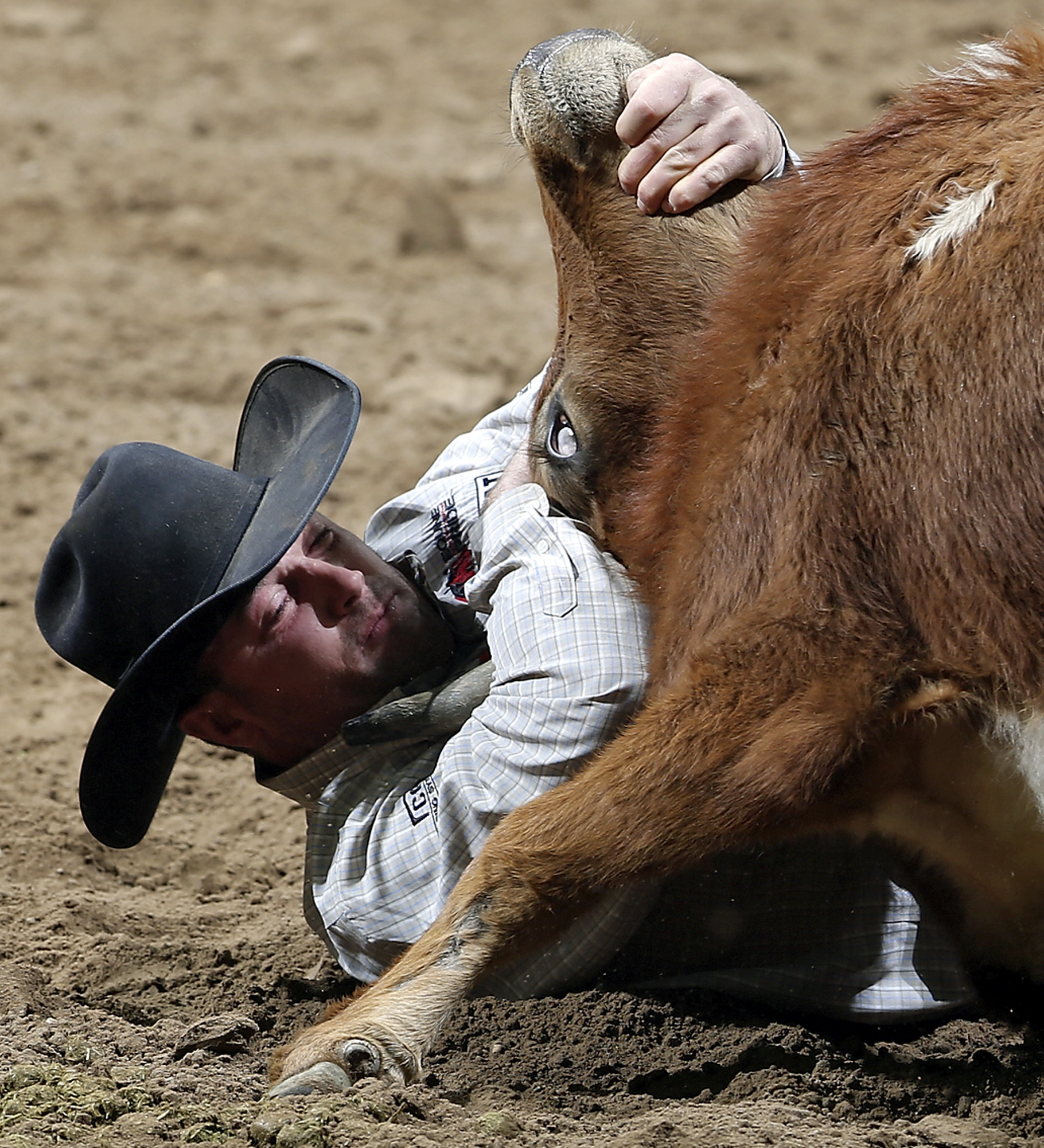 2013 S.A. Stock Show & Rodeo, Day 2