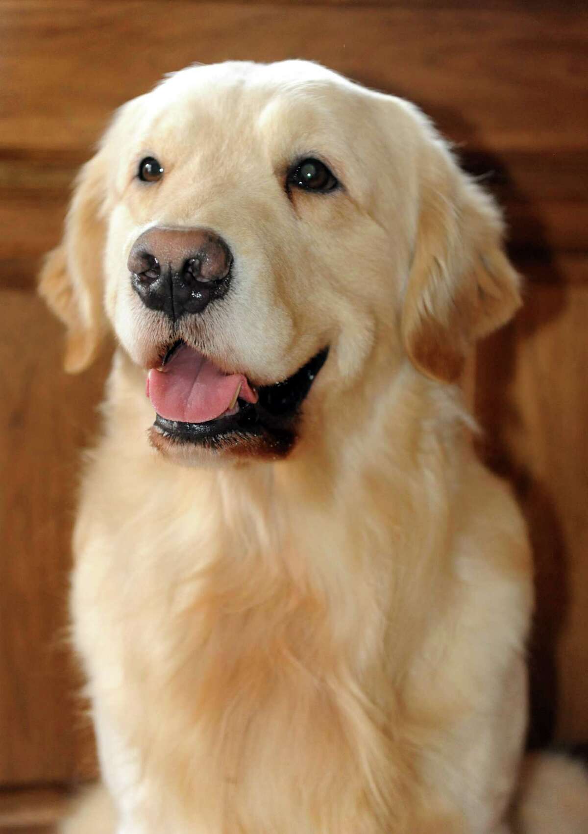 Canine champ goes on big stage