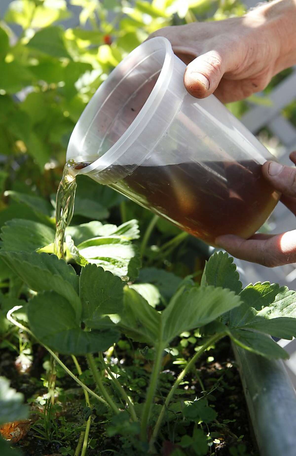 3 ways to improve soil for spring