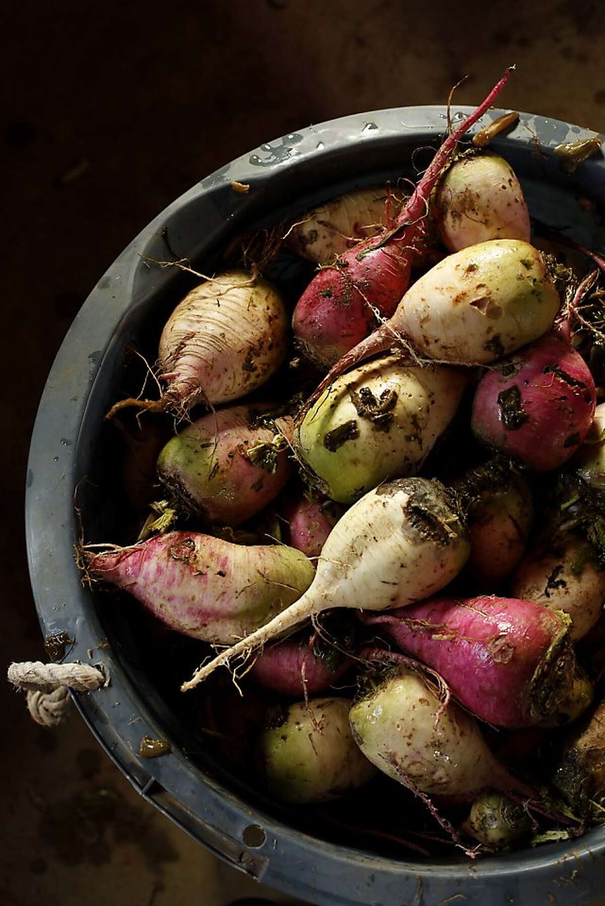 Anne, Otto Teller's family legacy is growing