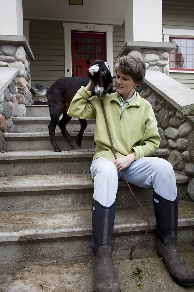 Should you get a goat?