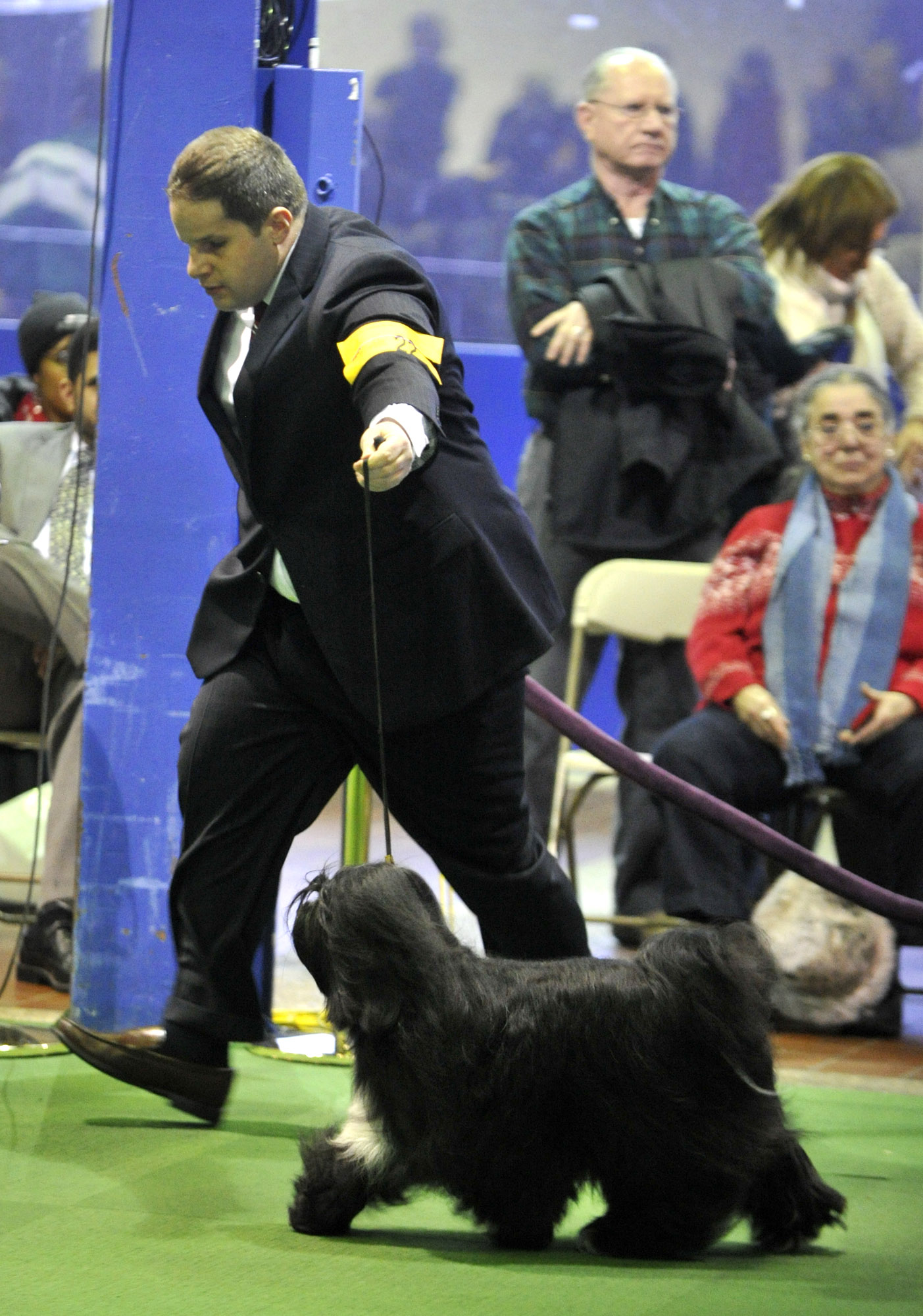 Terrier commutes from Stamford for big show