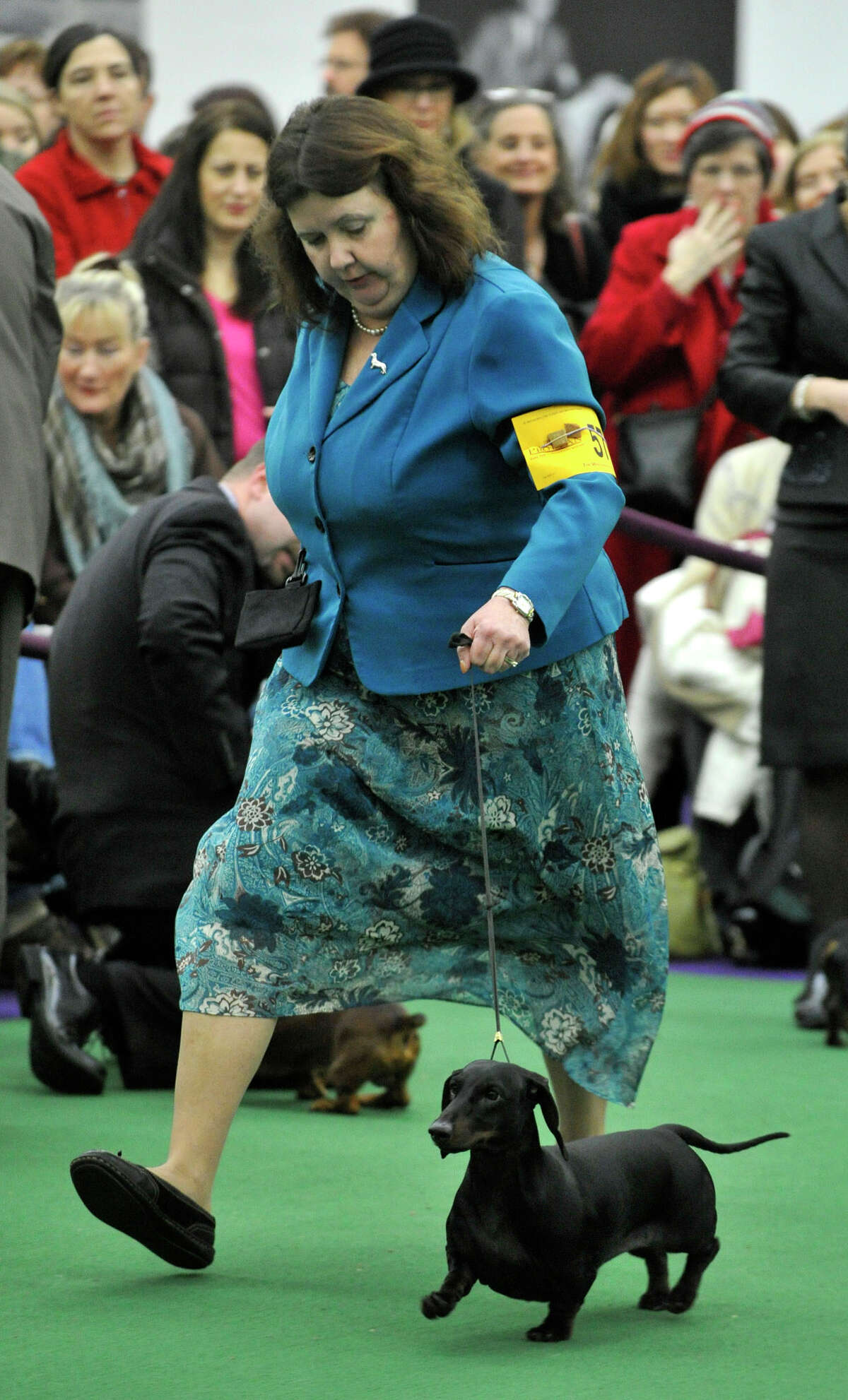 From rookie to a top dog at Westminster