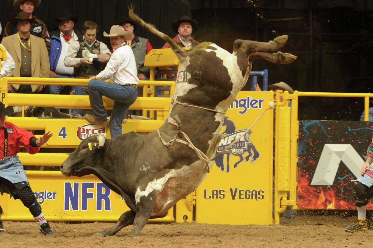 Cat Ballou carries on in the tradition of hard-to-ride rodeo bulls