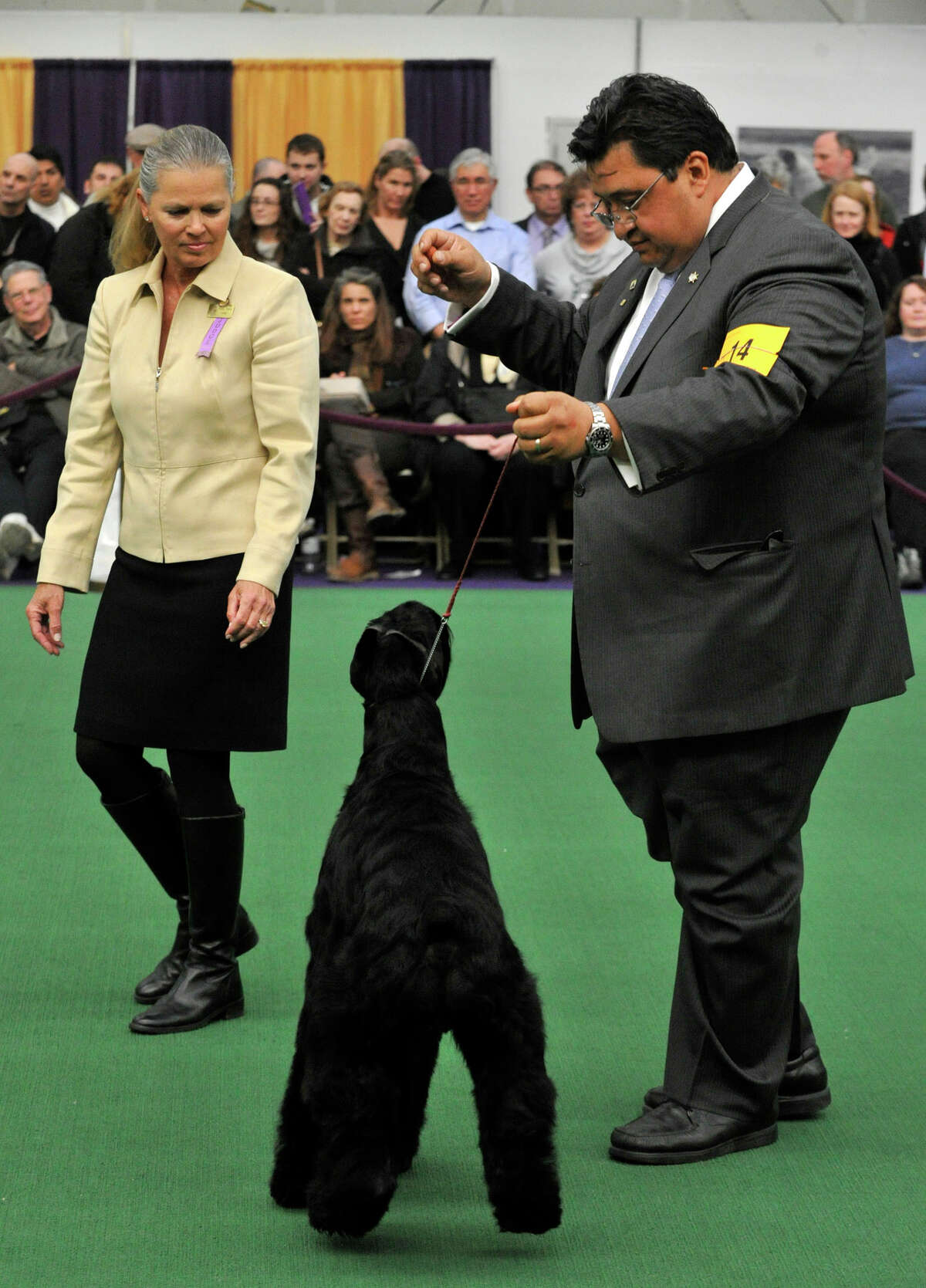 Mixed reviews for first change in Westminster's long history