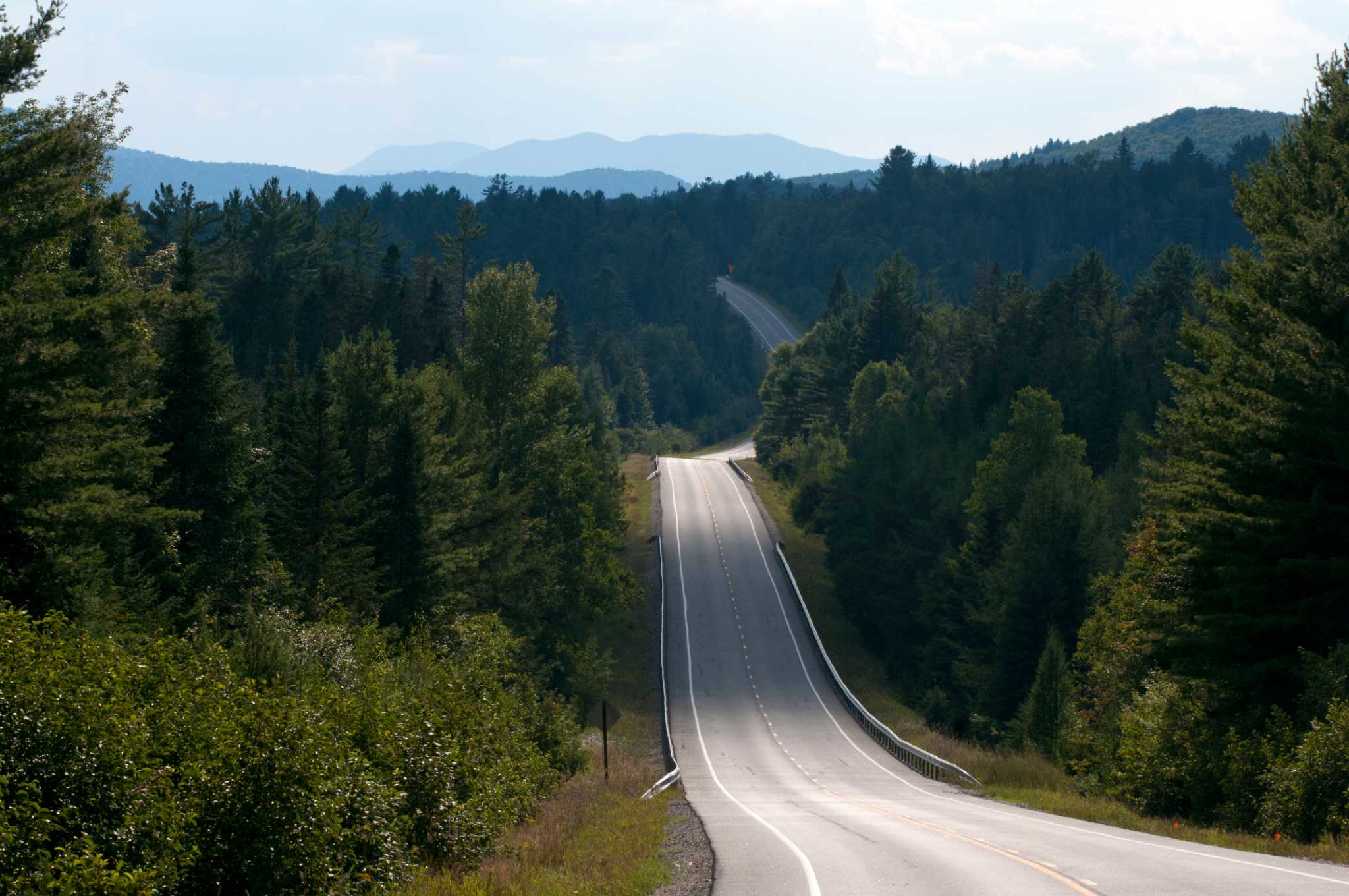 Clear-cut choice for forest