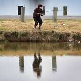 Day in Pictures, Feb. 13, 2013 - SFGate