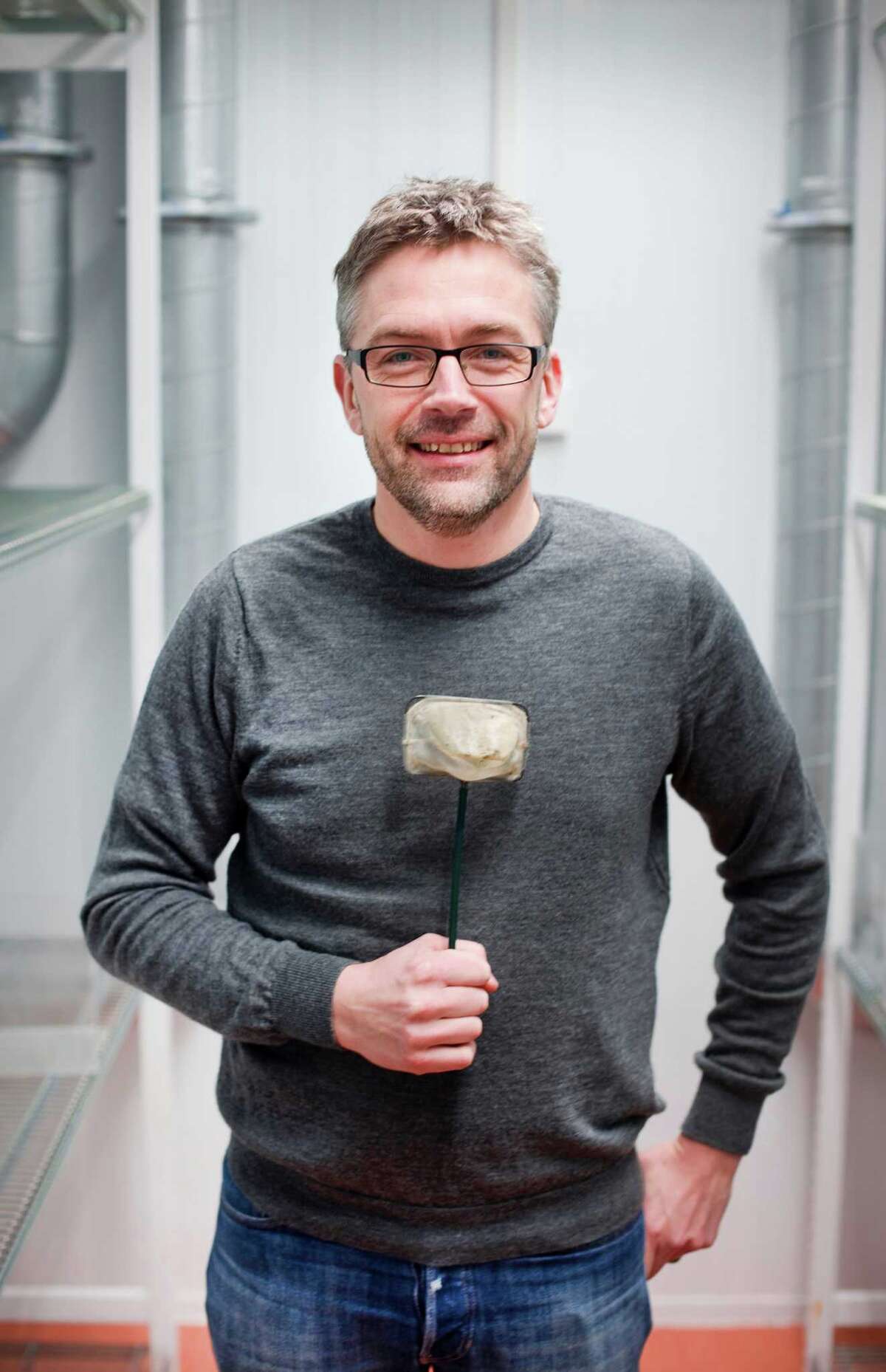 Study: Fish in drug-tainted water suffer reaction