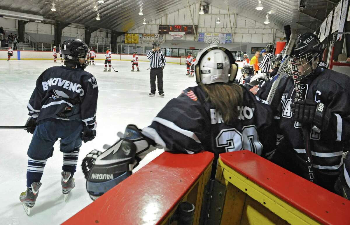 Annual hockey event a big draw