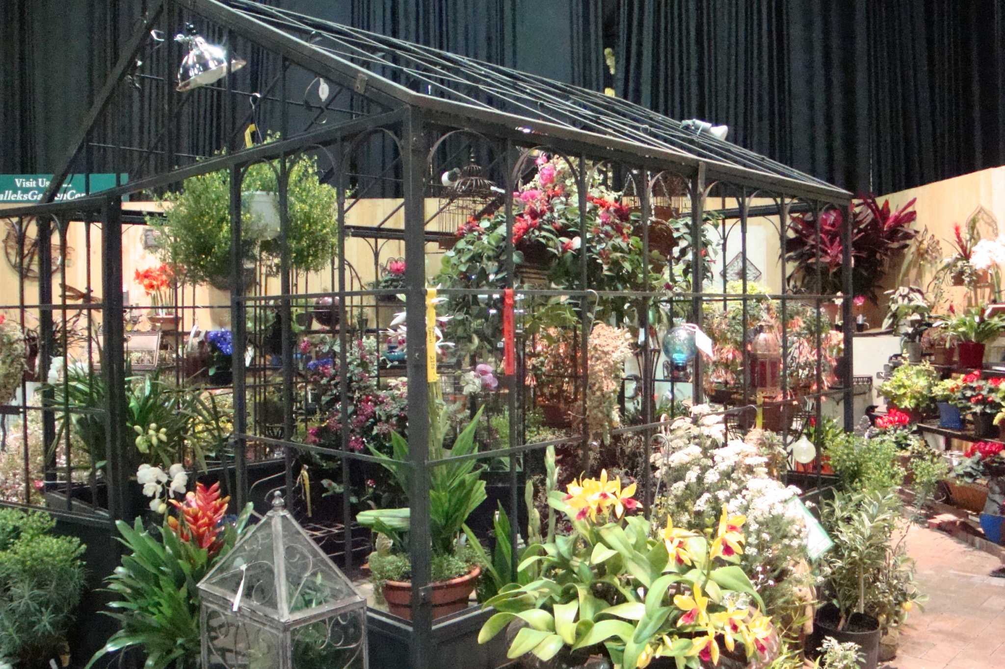 Ct Flower Show Hartford | Best Flower Site