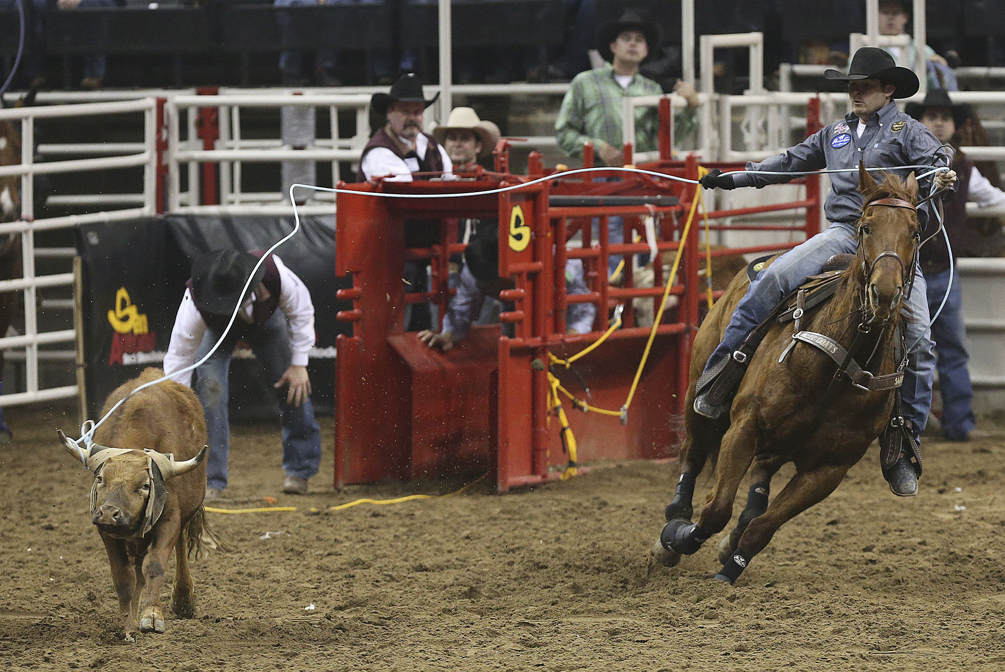 Driggers digs this rodeo, eyes chance 'to win good money'