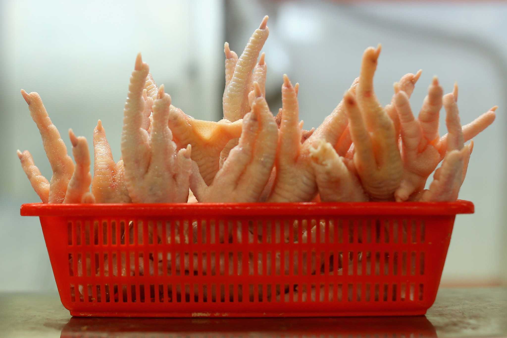 Chicken feet, pig's tails and bull frogs